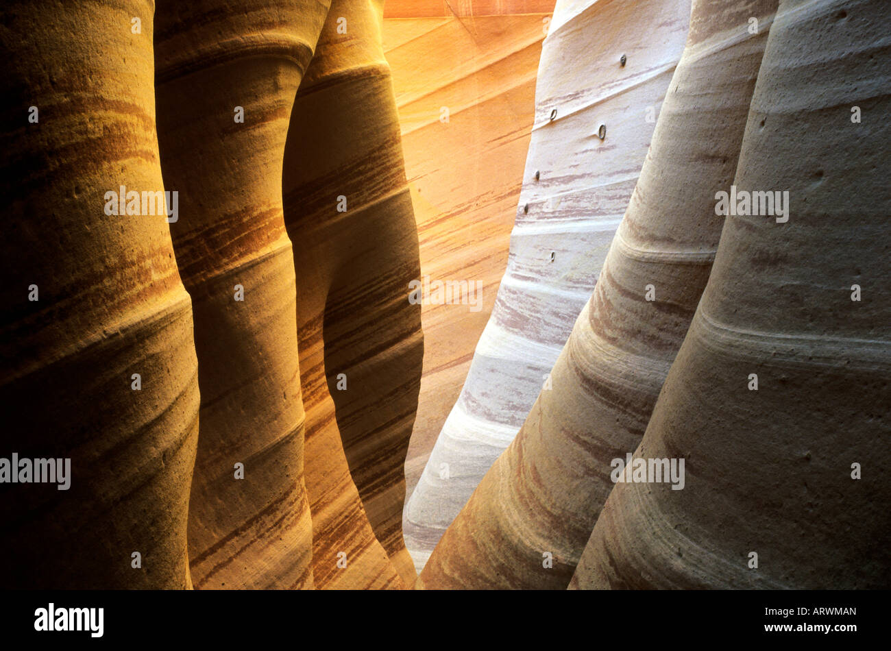 Zebra slot Grand Staircase Escalente National Monument Utah USA Stock ...