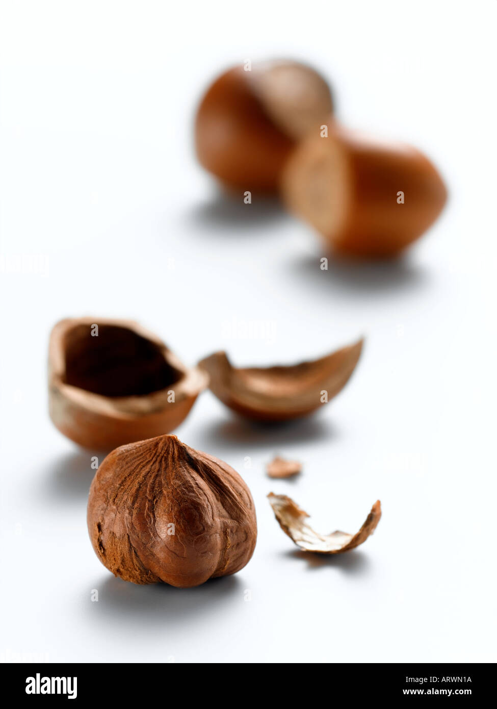 Hazelnut corylus avellana nuts hi-res stock photography and images - Alamy