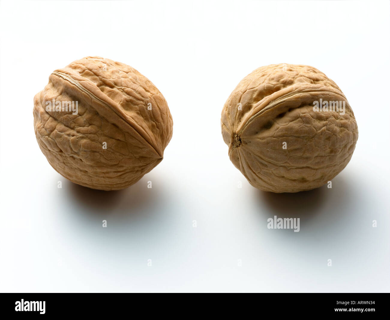 Walnut kernal hi-res stock photography and images - Alamy