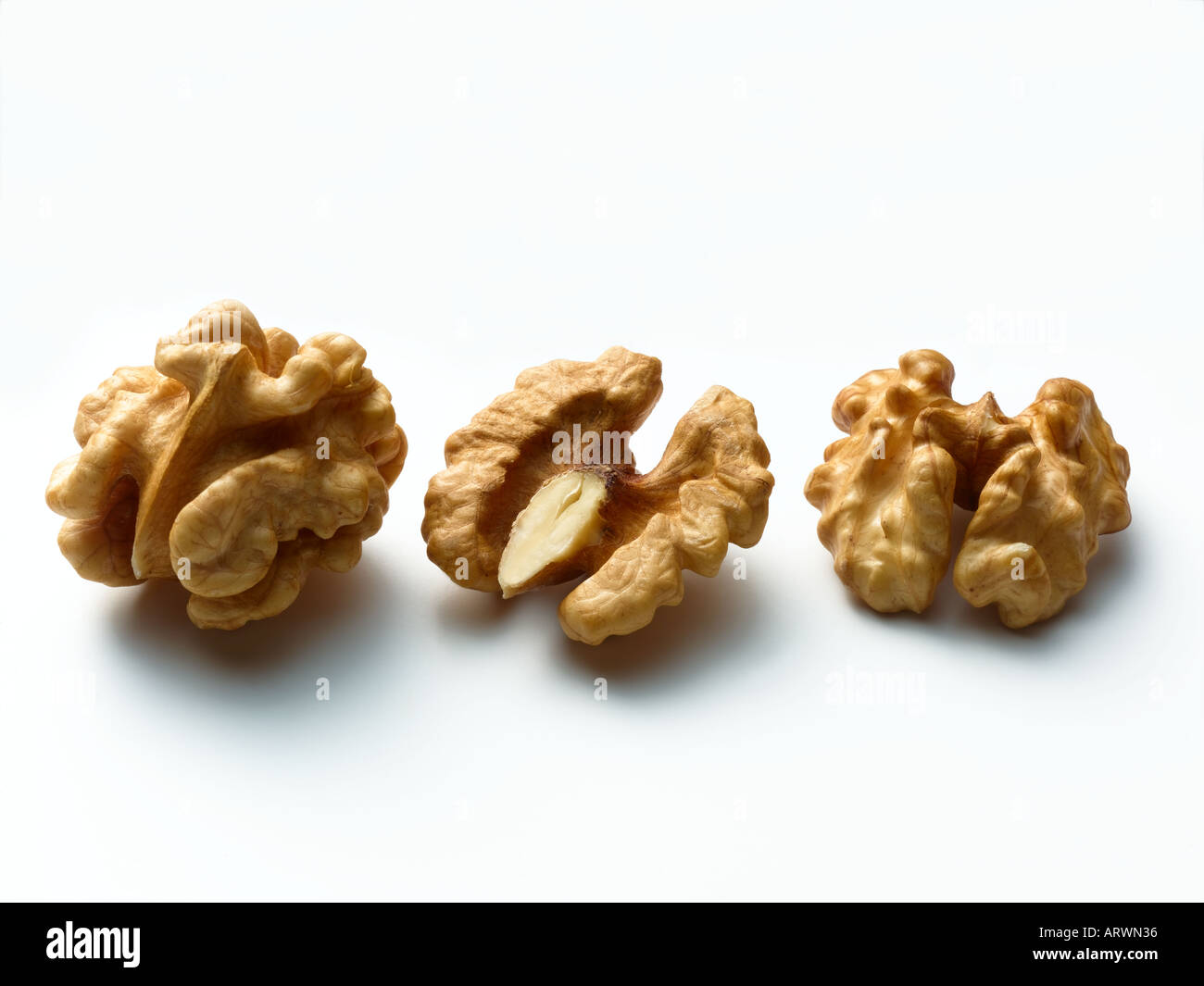 Walnut kernal hi-res stock photography and images - Alamy