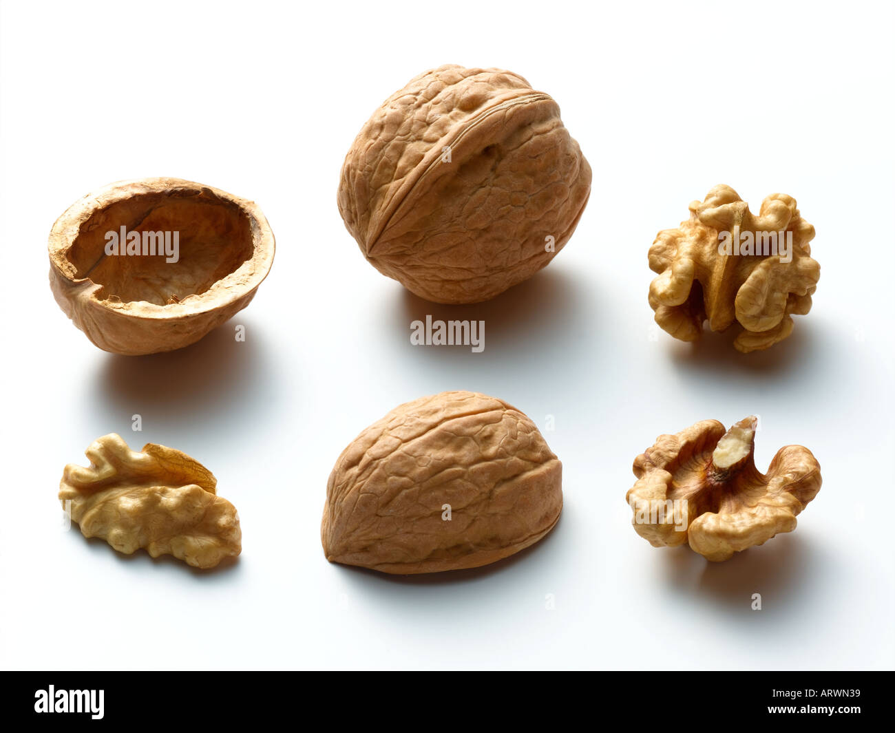 To get nut hi-res stock photography and images - Alamy