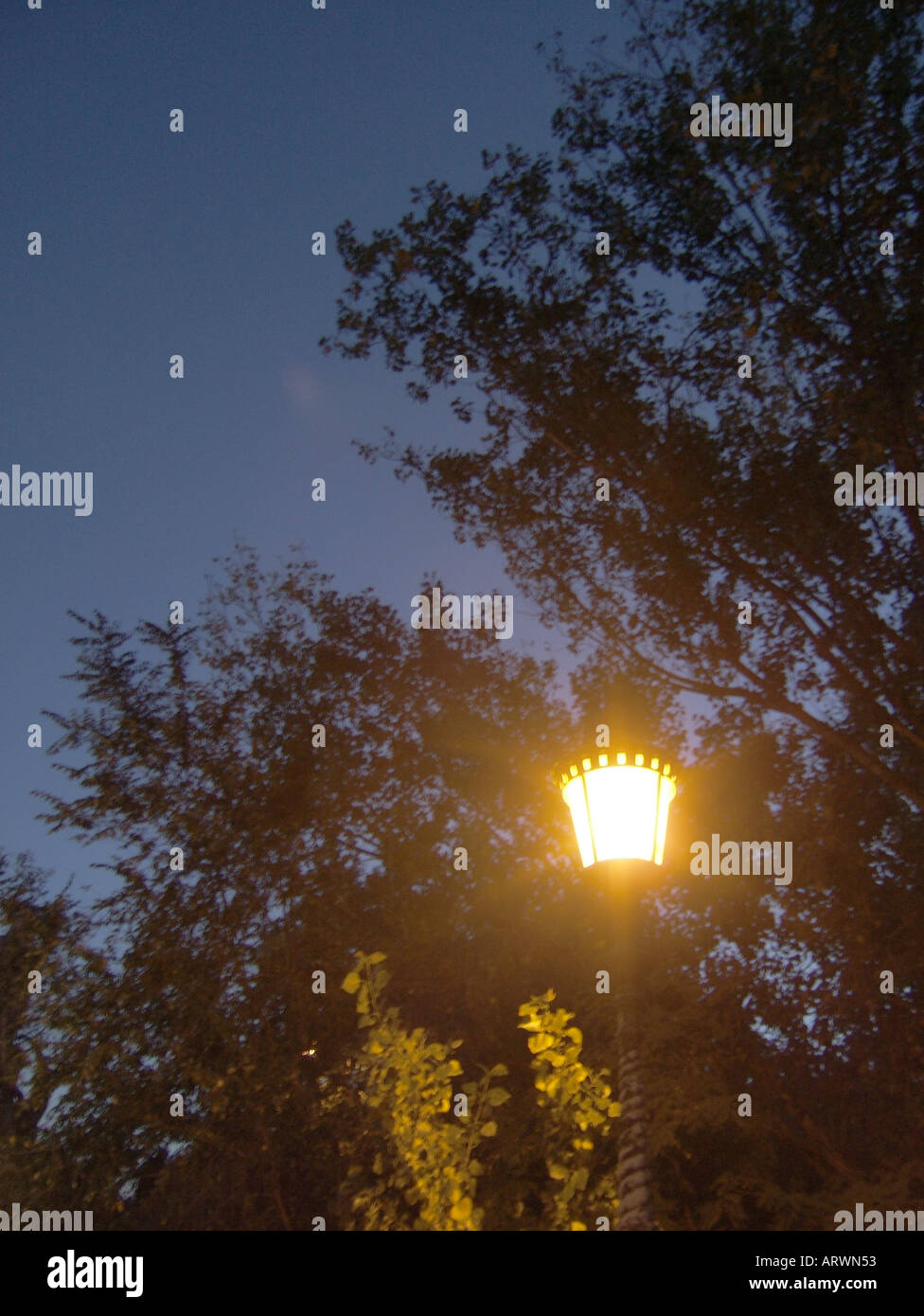 lamp post at night Stock Photo - Alamy