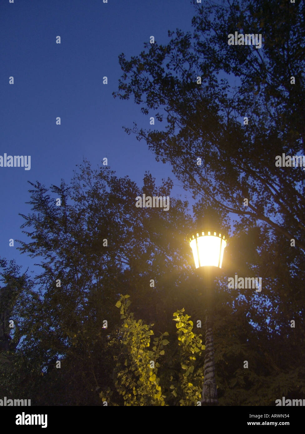 lamp post at night Stock Photo - Alamy