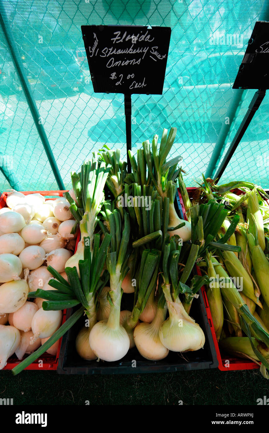 Sweet strawberry onions Vegetable and fruit stand at farmers market ...