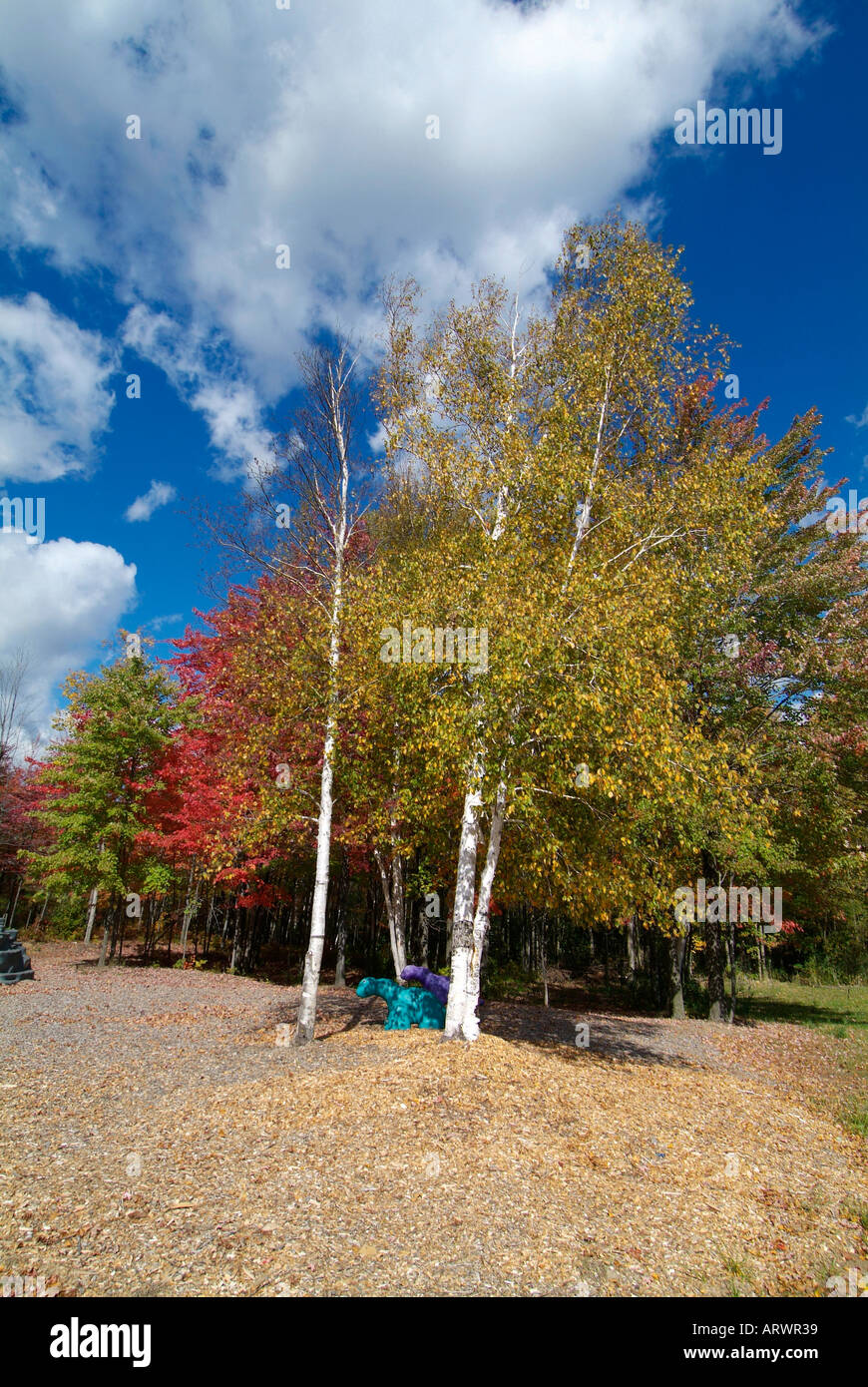 Turn leaves hi-res stock photography and images - Alamy