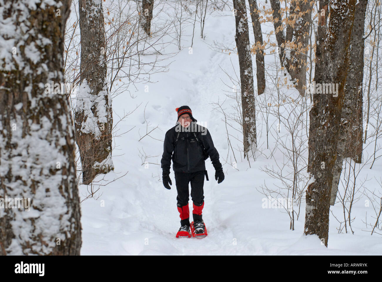 Snowshoeing expedition Mont Tremblant park Laurentians Quebec Canada ...