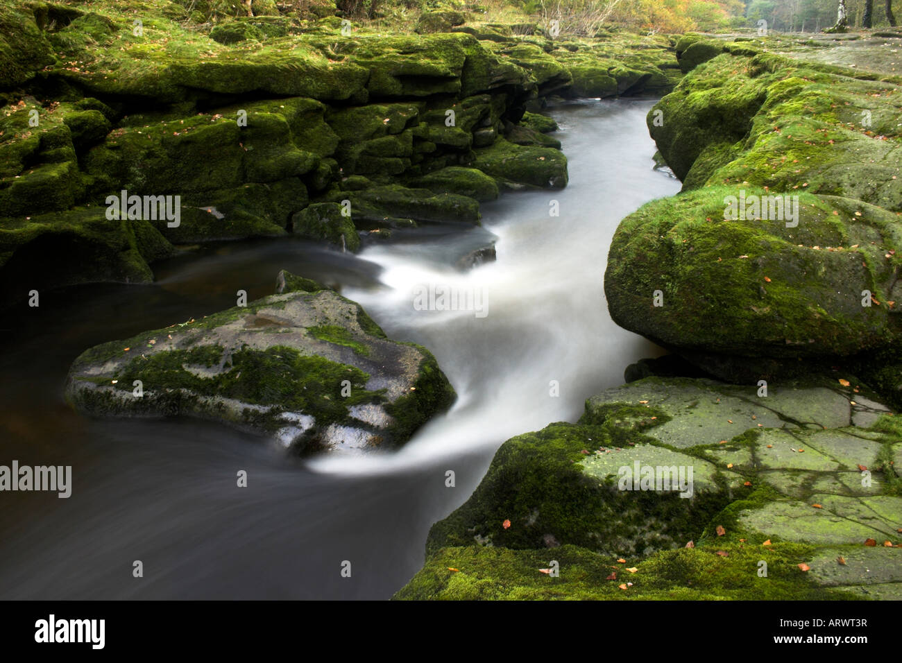 The River Wharfe narrows at The Strid, North Yorkshire Stock Photo - Alamy