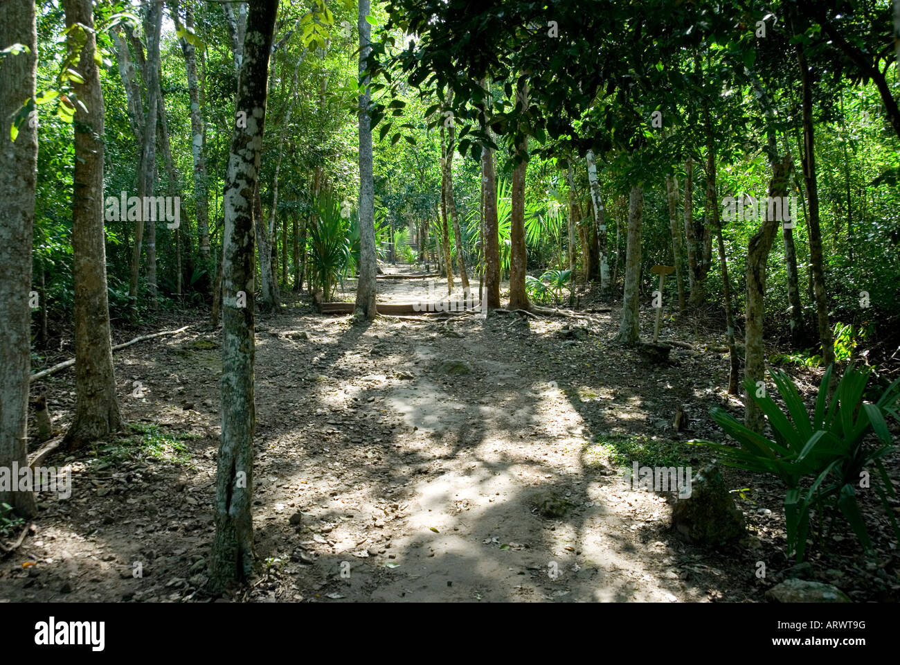 Sacbe 9 hi-res stock photography and images - Alamy