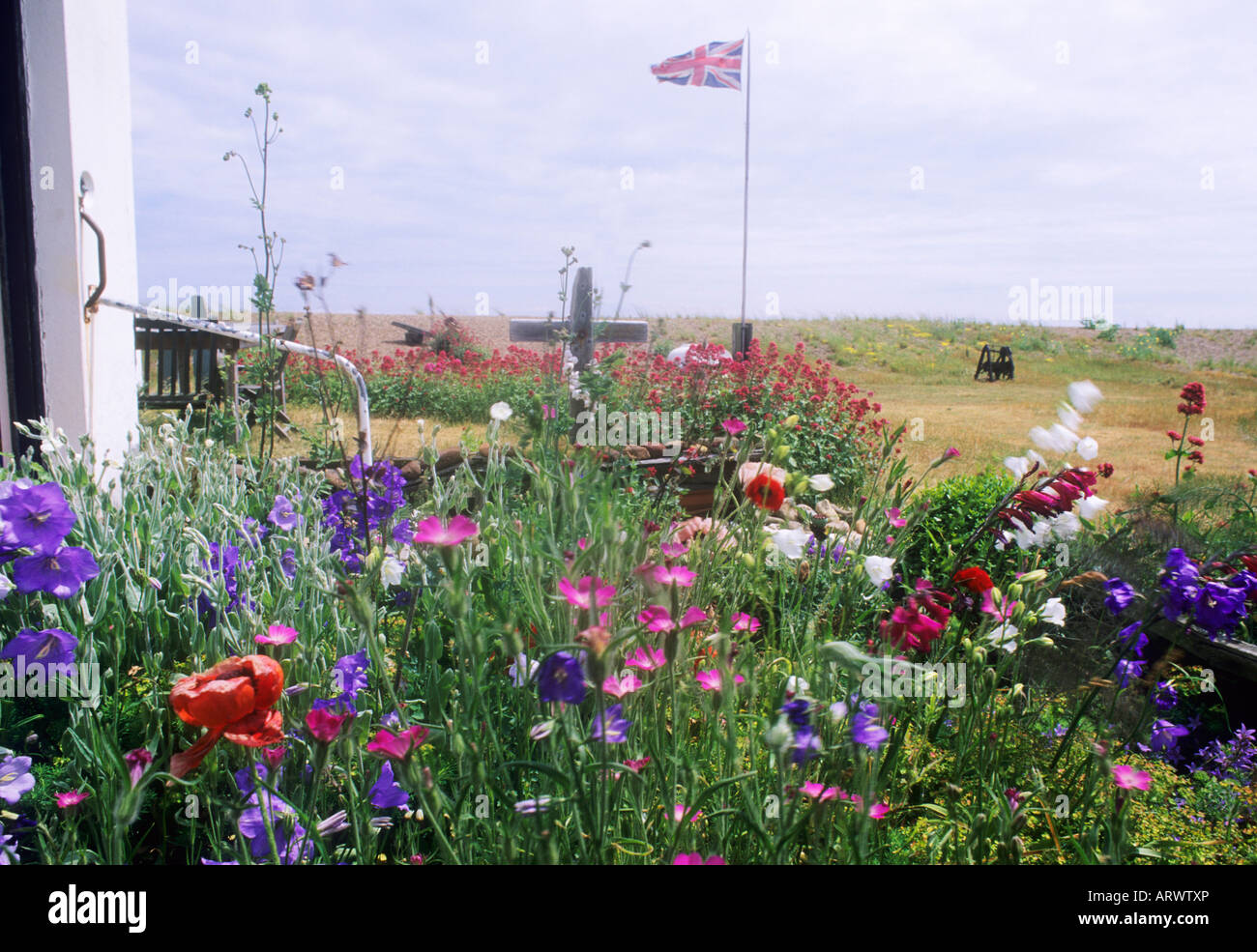 Seaside Beach Garden red white blue flowers flag Union Jack campanula ...