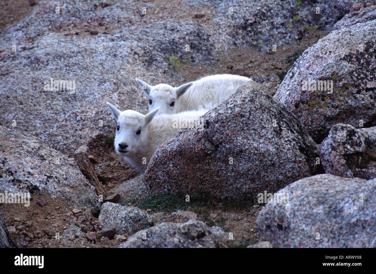 14000 feet hi-res stock photography and images - Alamy