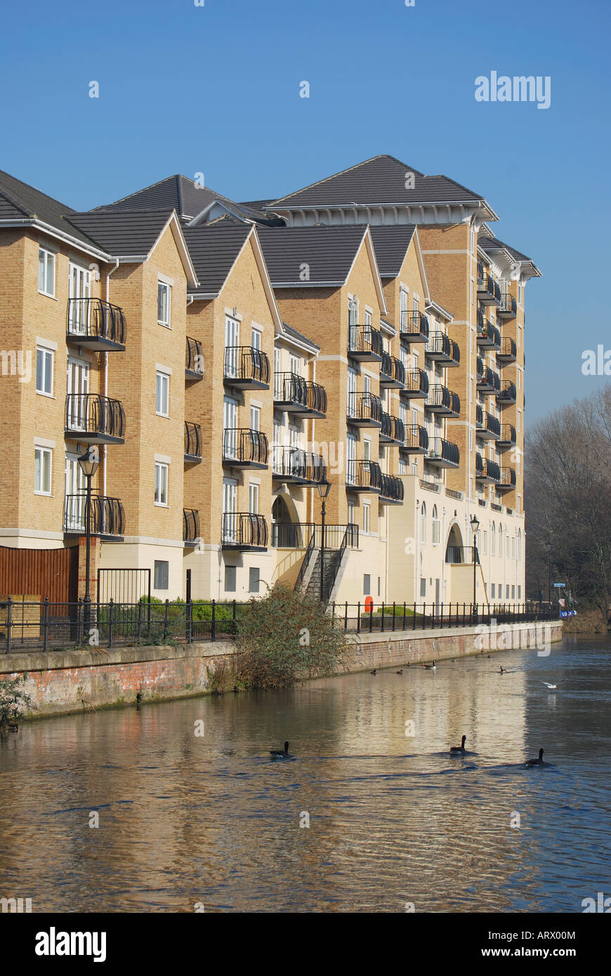 Modern riverside apartments, Kennet & Avon Canal, Reading, Berkshire ...