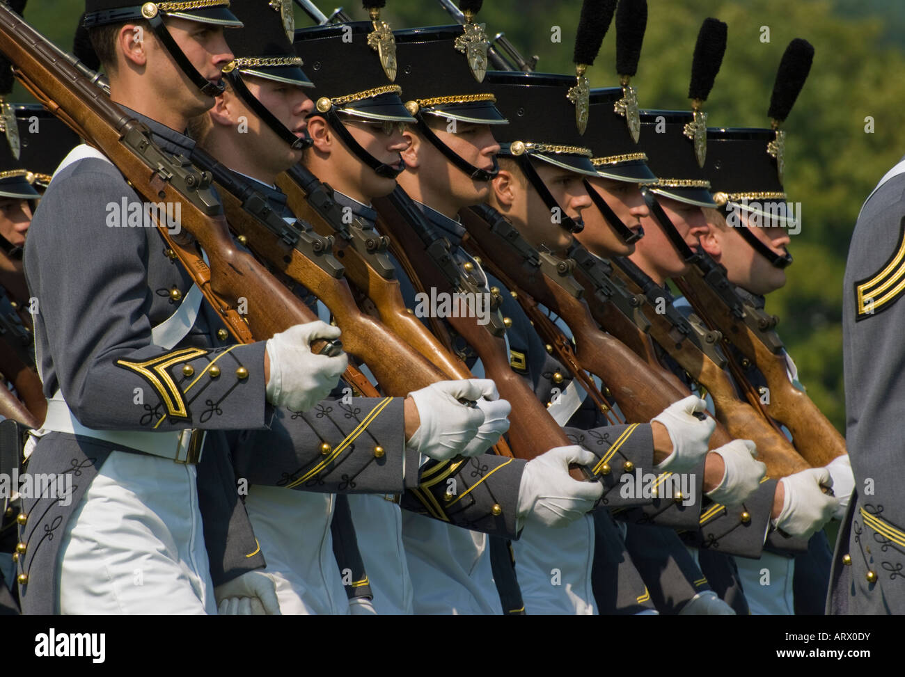 Military rifles hi-res stock photography and images - Alamy