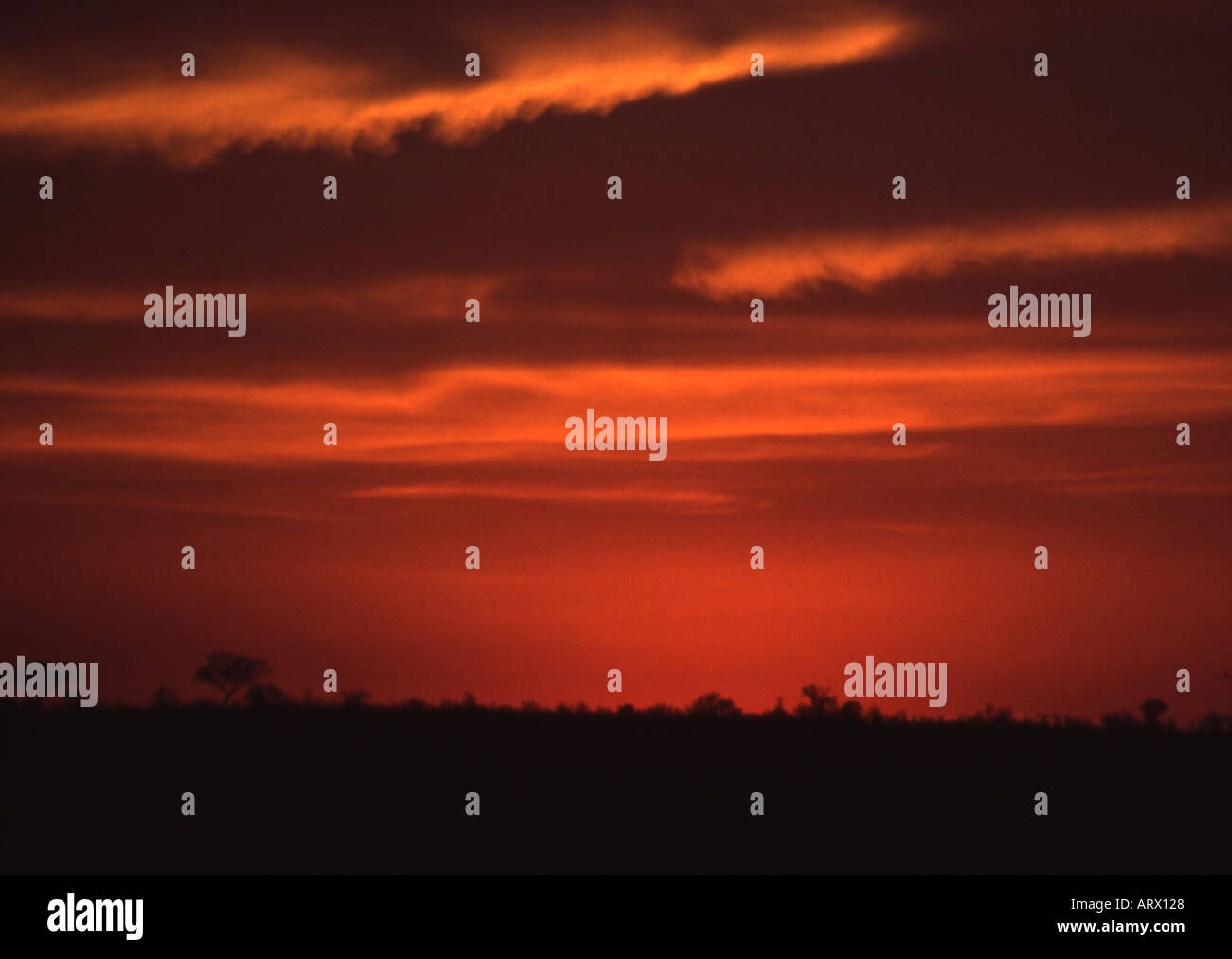African sunset over bushveld Kruger Park South Africa Stock Photo - Alamy