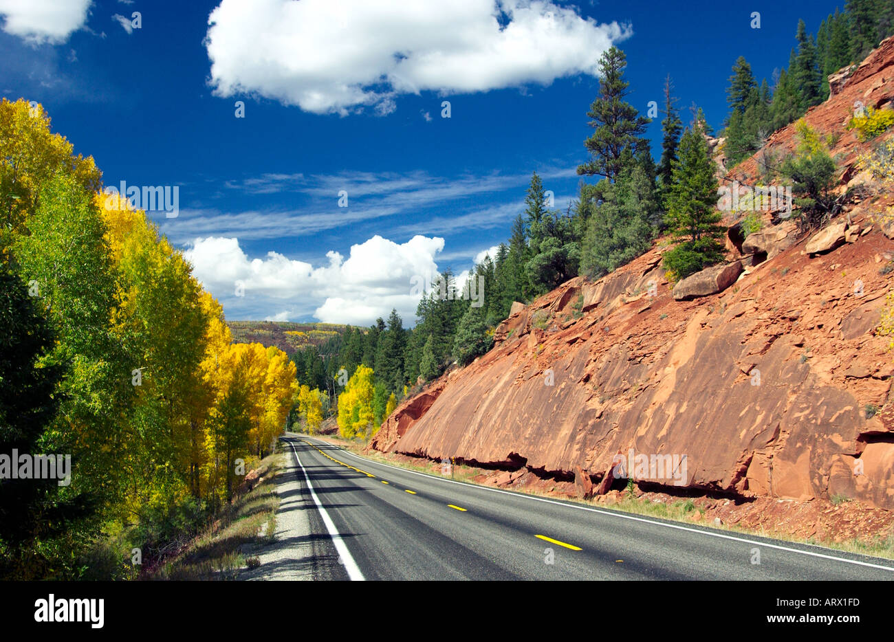 Fall foliage along Colorado 145 and the Dolores River USA Stock Photo ...