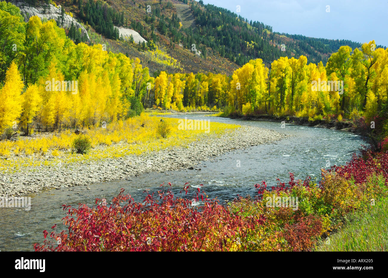 Fall foliage and a curve in the Dolores River Colorado USA Stock Photo ...