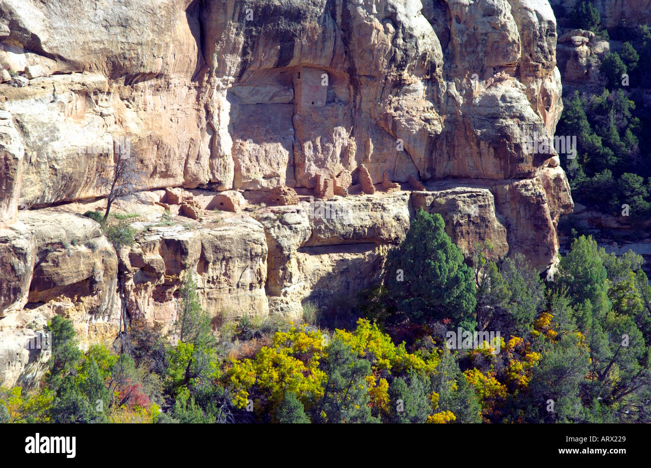 Mummy House ruins in Mesa Verde National Park Colorado USA Stock Photo ...