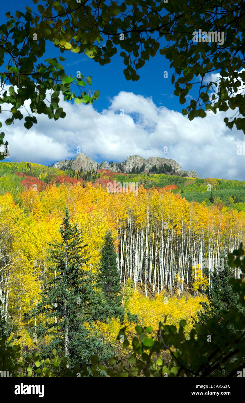 Colorful fall foliage on the Kebler Pass road near Crested Butte ...