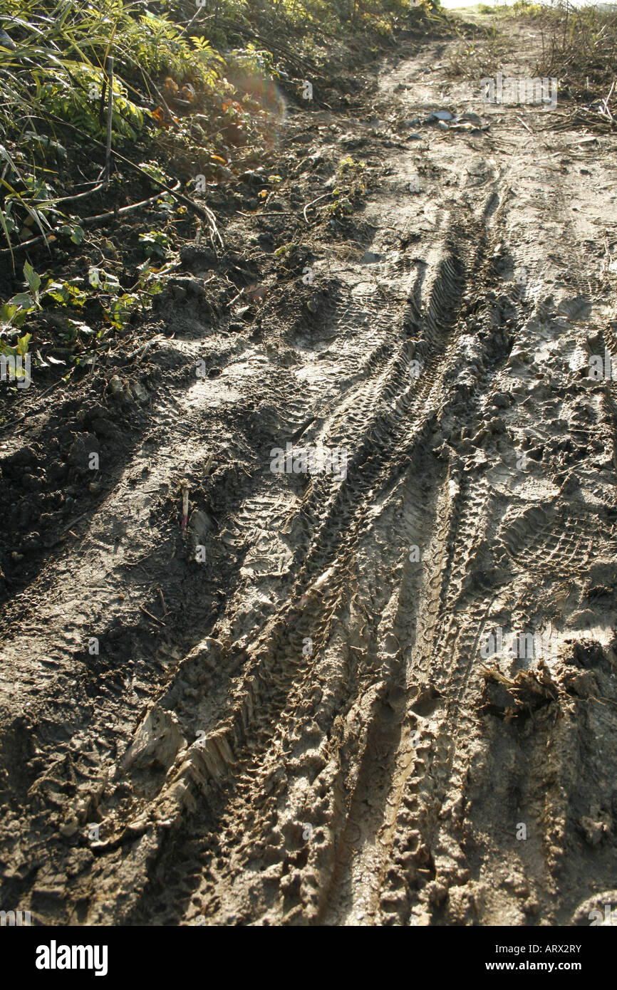 bike tyre marks in mud Stock Photo - Alamy