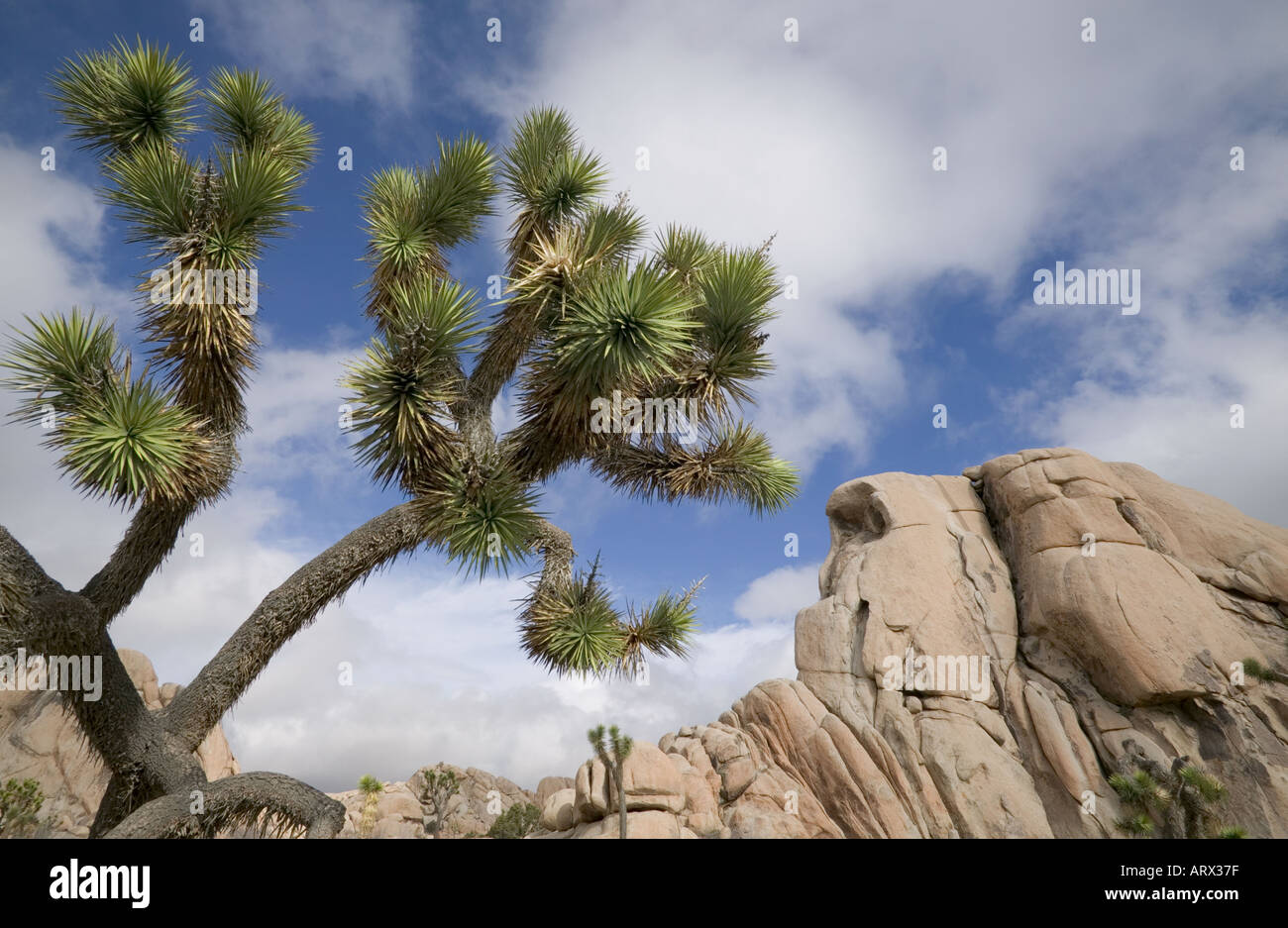 Monzogranite rock pile hi-res stock photography and images - Alamy