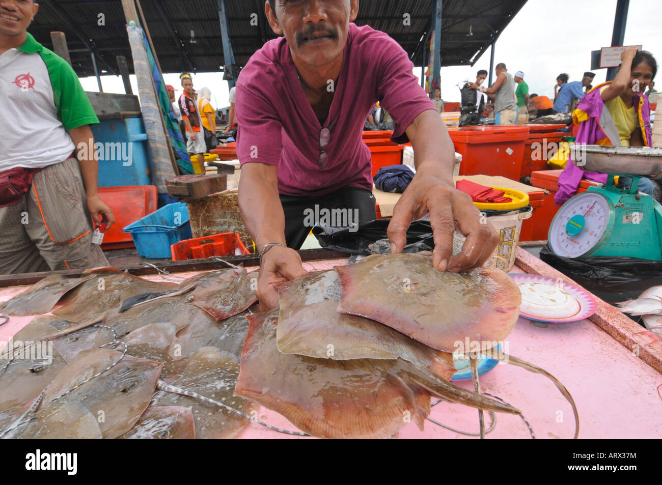 Fish or Wet Market in Kota Kinabulu capital of Sabah Northern Borneo ...
