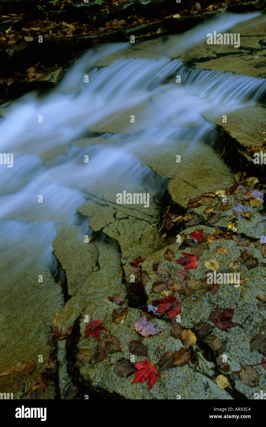 NEW HAMPSHIRE, USA White Mountains, Crawford Notch State Park, Bemis ...