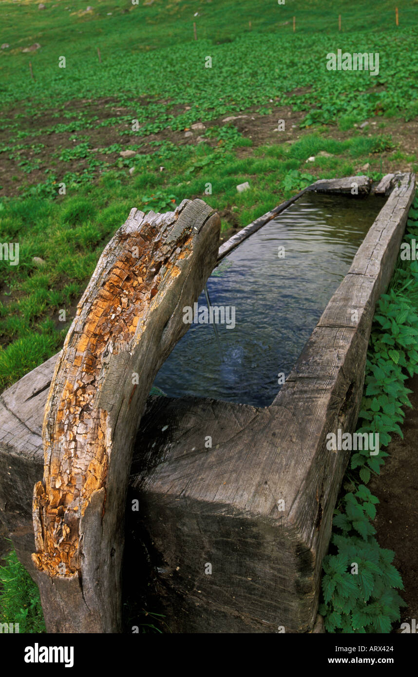 Farm water trough hi-res stock photography and images - Alamy