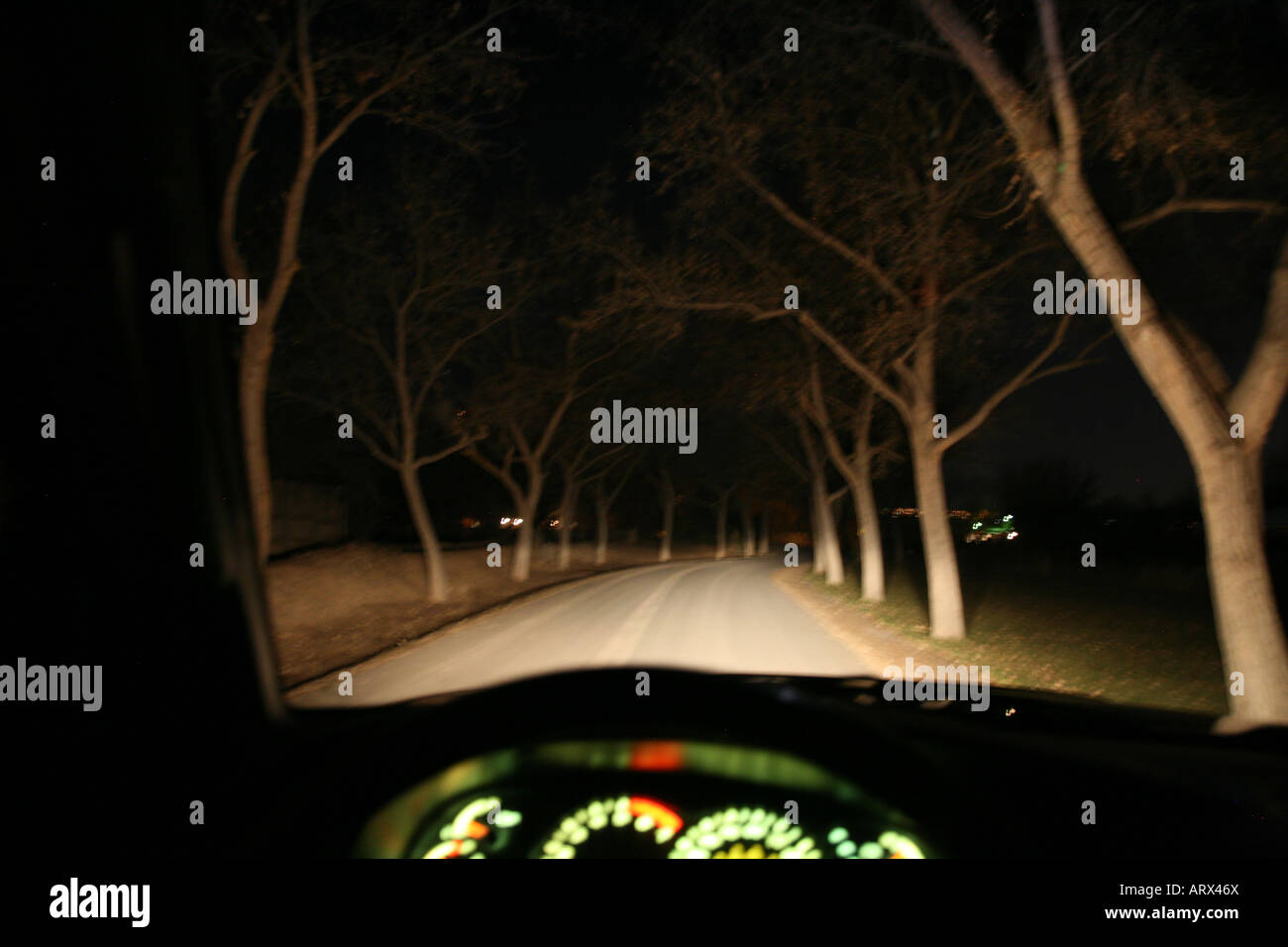 Headlights shining on trees along paved road. Night time Stock Photo ...