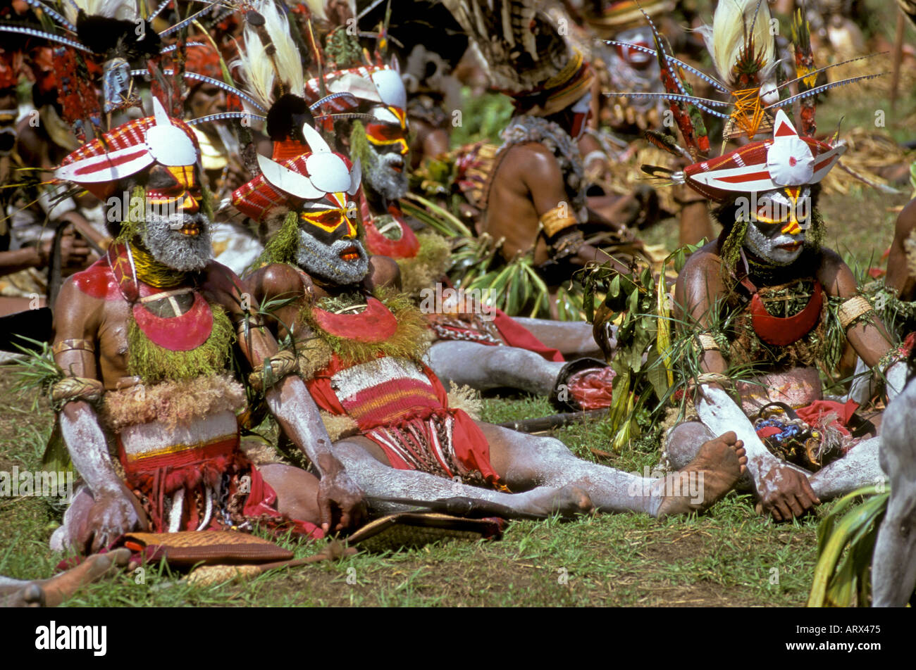 Papua New Guinea, Western Highlands Province, Mt. Hagen Cultural Show ...