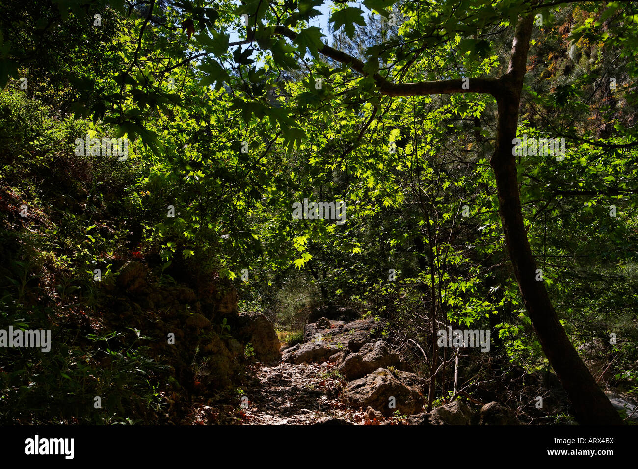 Irini gorge hi-res stock photography and images - Alamy