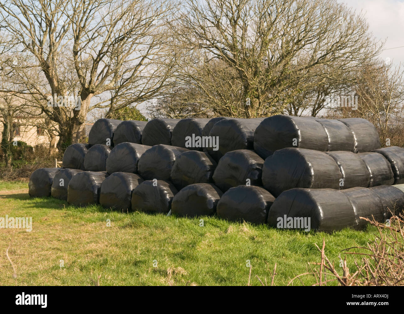 A stack of round silage bales in black plastic Stock Photo - Alamy