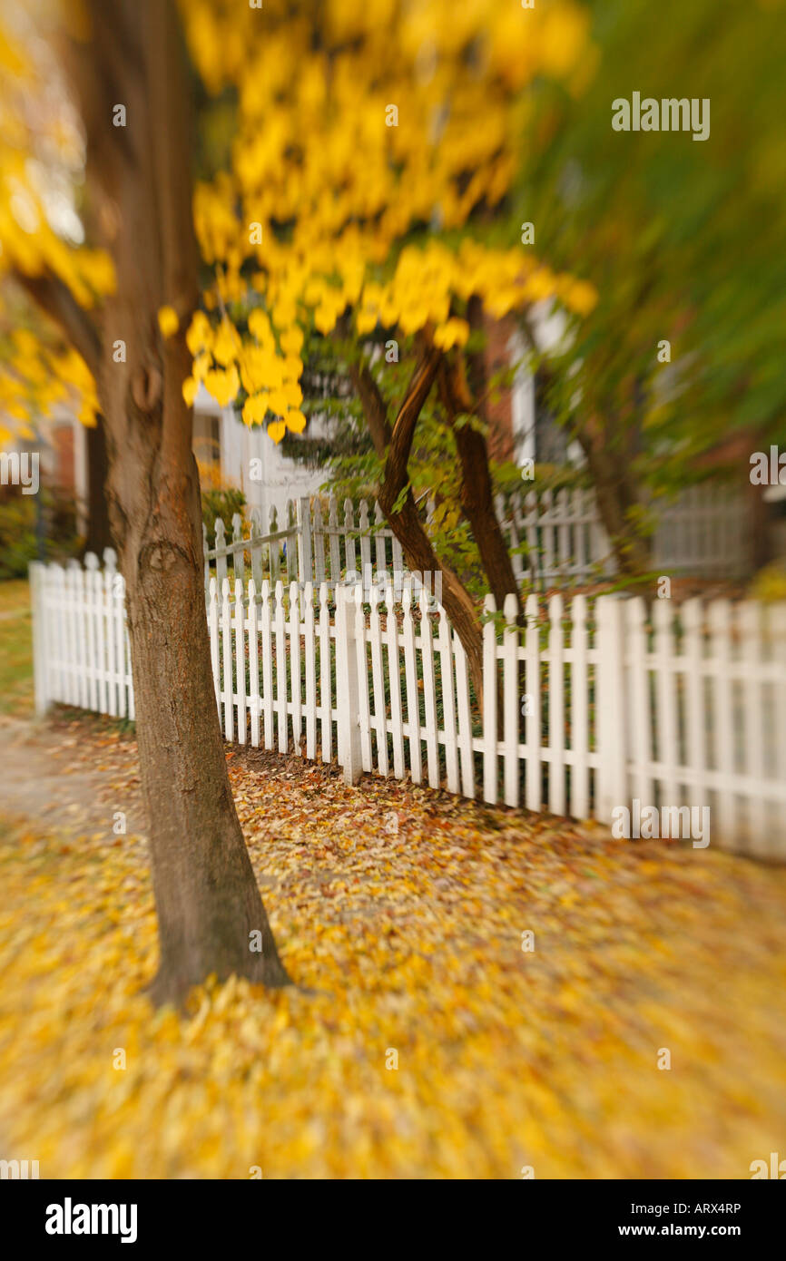 Street scene, fence with trees in autumn color, USA Stock Photo - Alamy