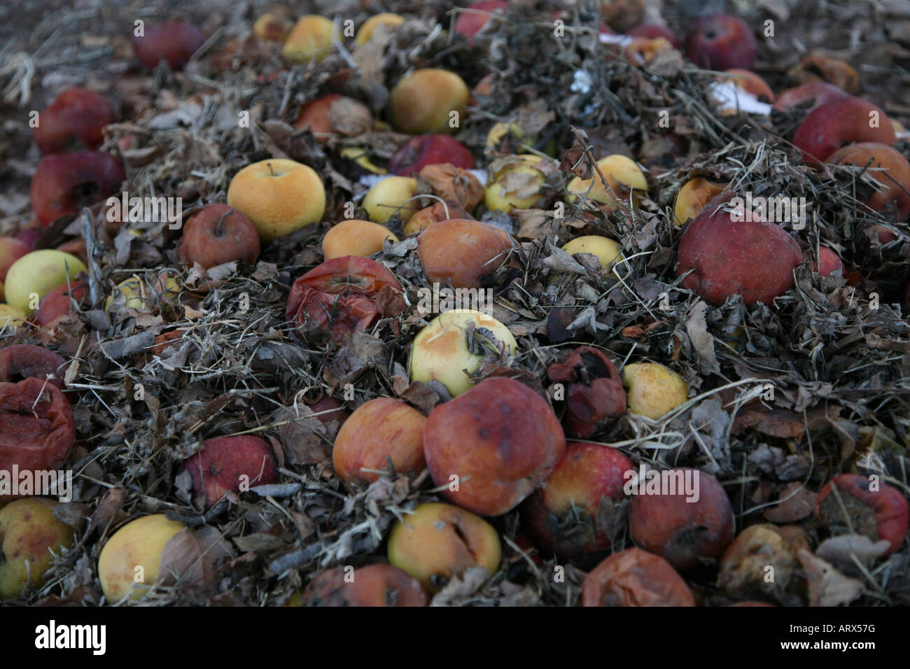 Composting hi-res stock photography and images - Alamy