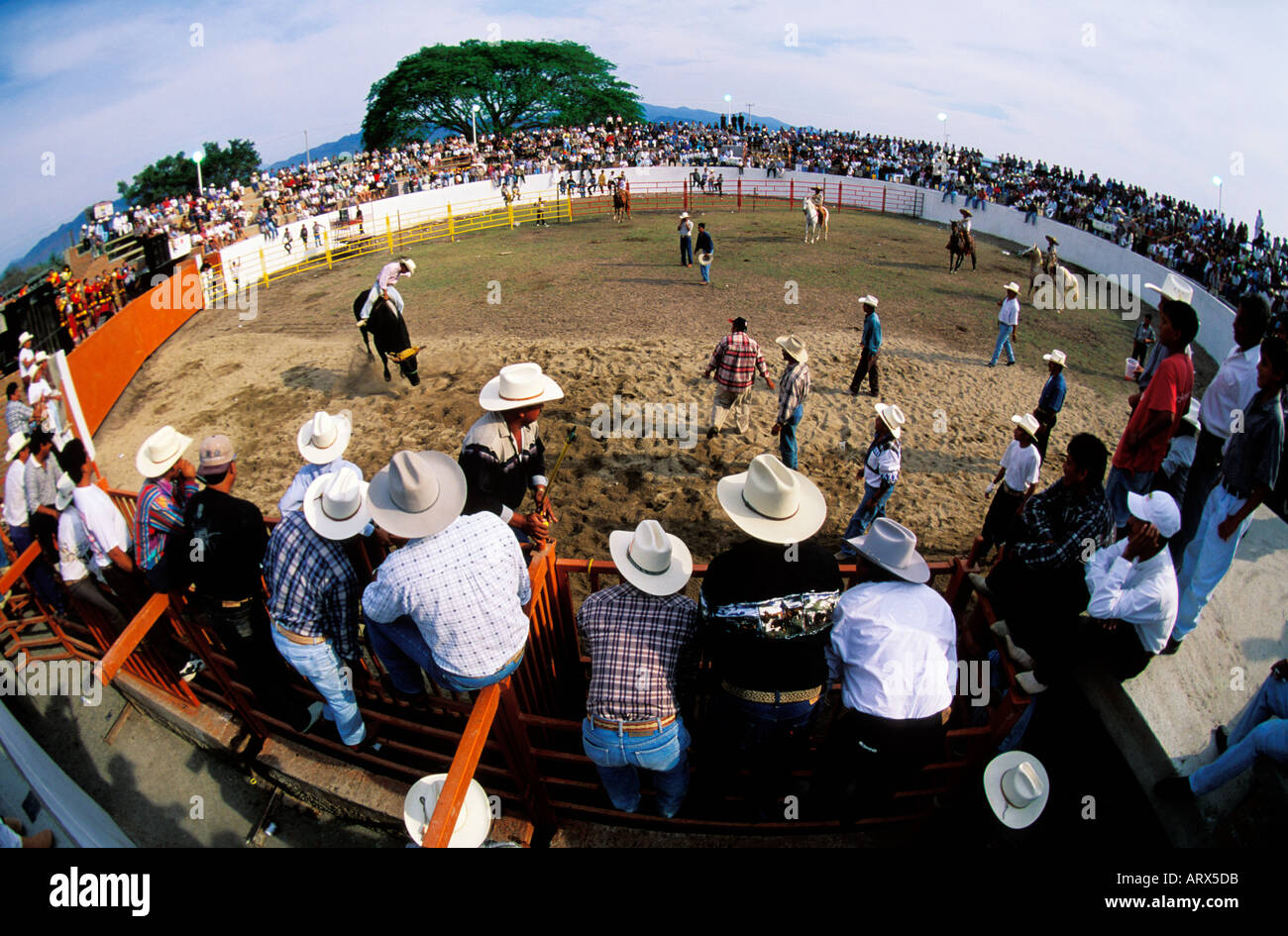 Bull riding mexico hi-res stock photography and images - Alamy