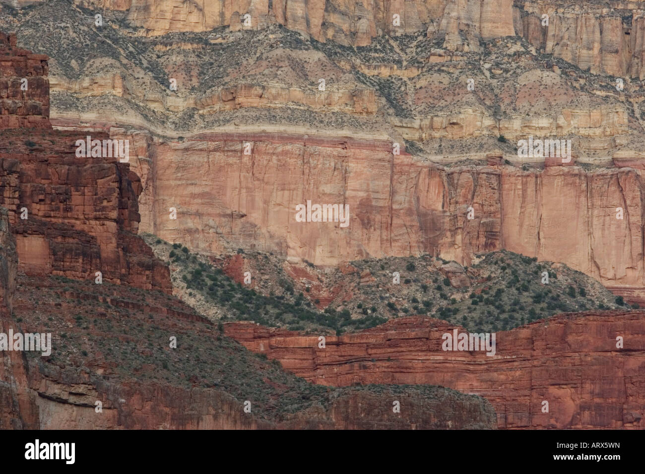 Detail of canyon wall Grand Canyon National Park Stock Photo - Alamy