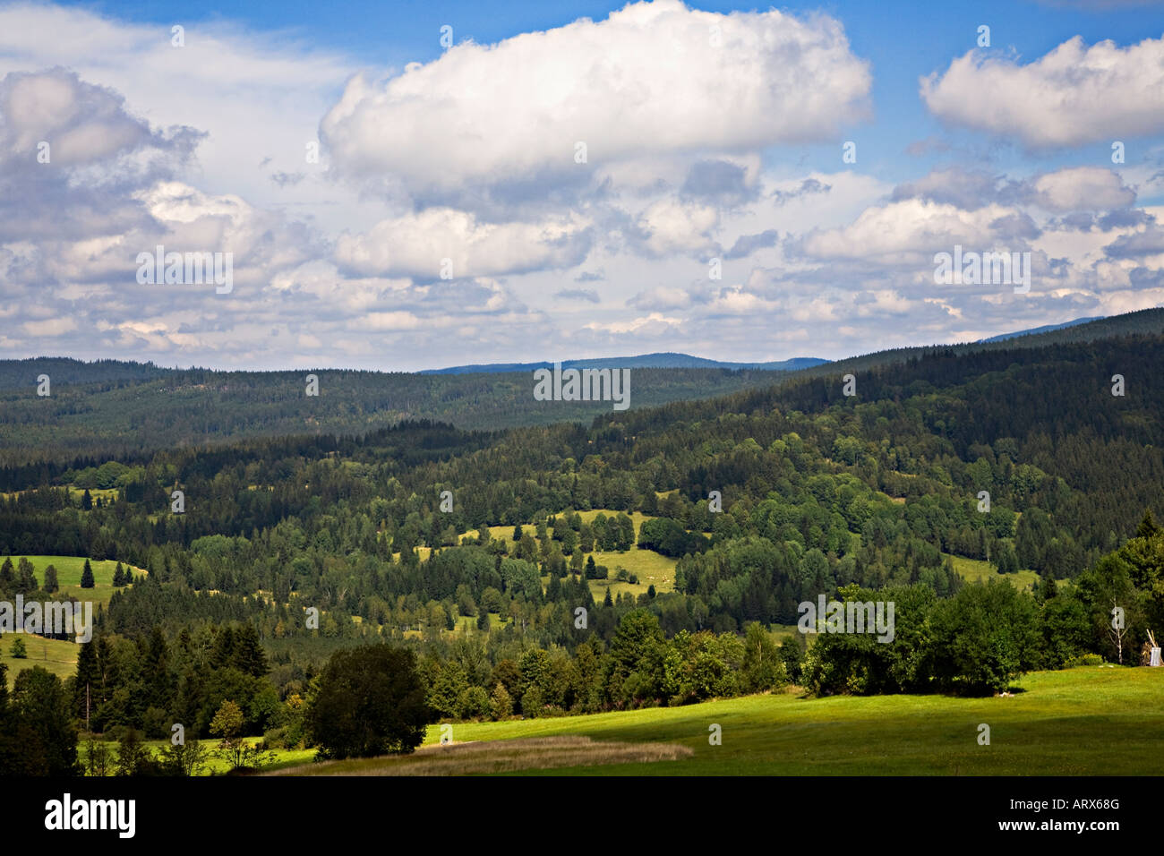 Bavarian Forest National Park the Nationalpark Bayerischer Wald Bavaria ...