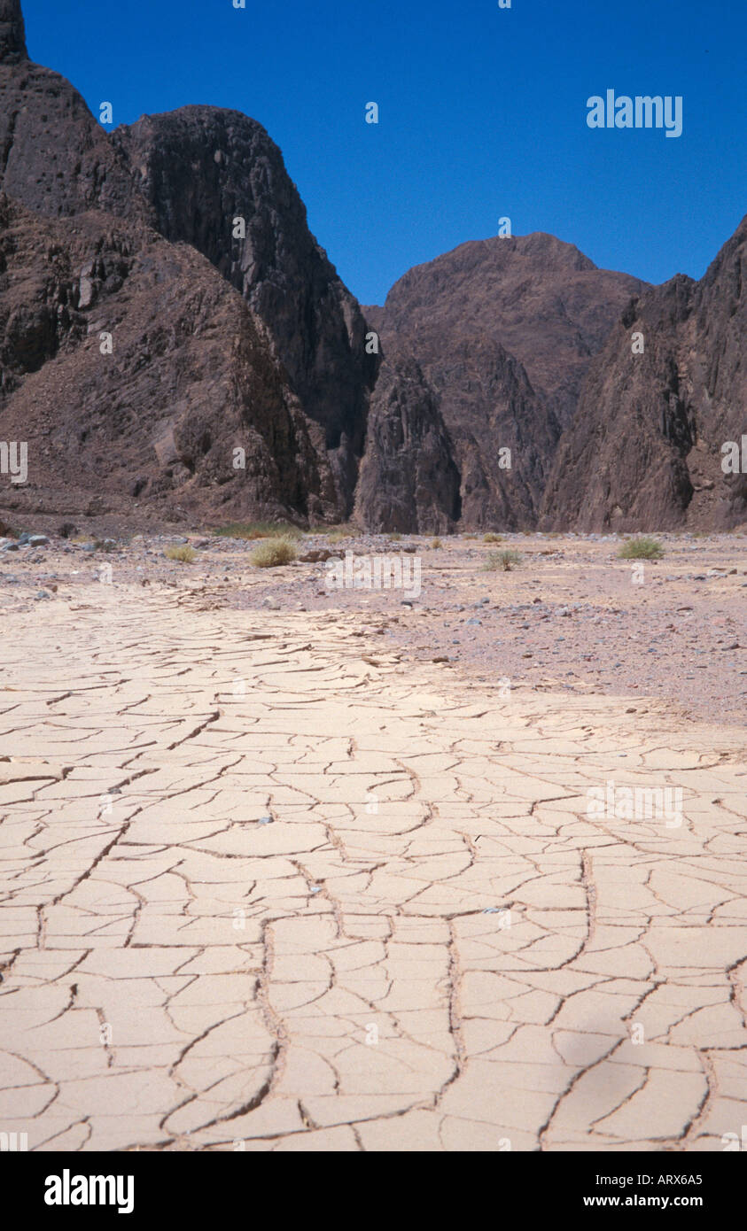 Dahas hi-res stock photography and images - Alamy