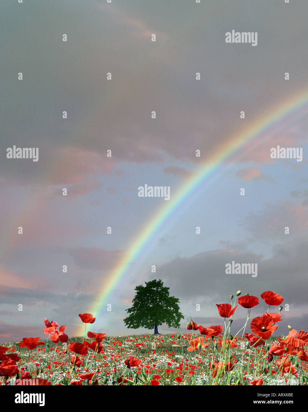 Summer season scenery picture hi-res stock photography and images - Alamy