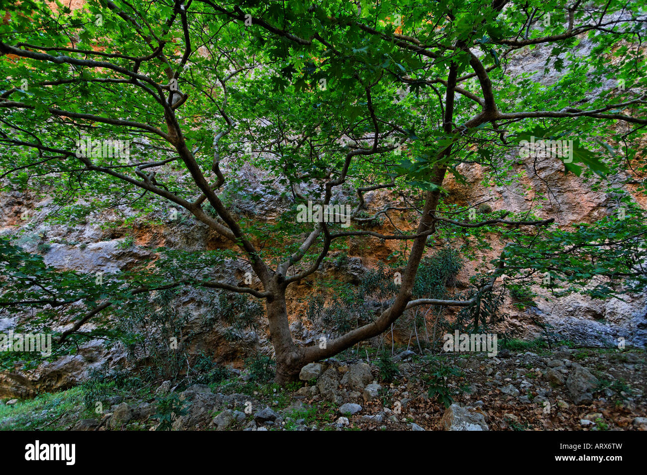 Irini Gorge, West Crete, Greek, Europe Stock Photo - Alamy
