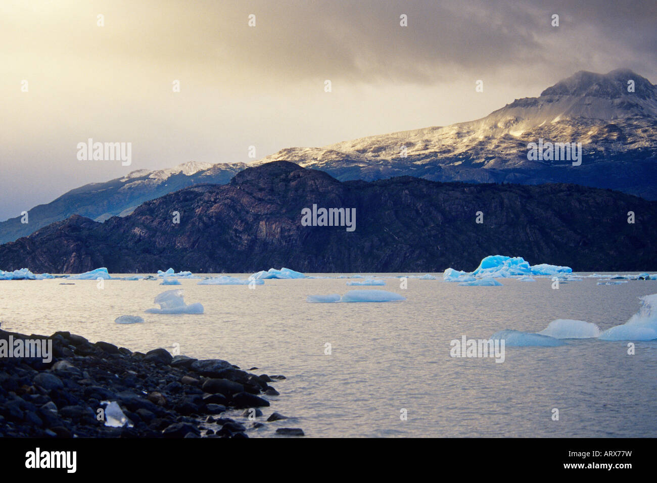 Lago ( Lake ) Grey or Gray with glacial icebergs, Torres del Paine ...