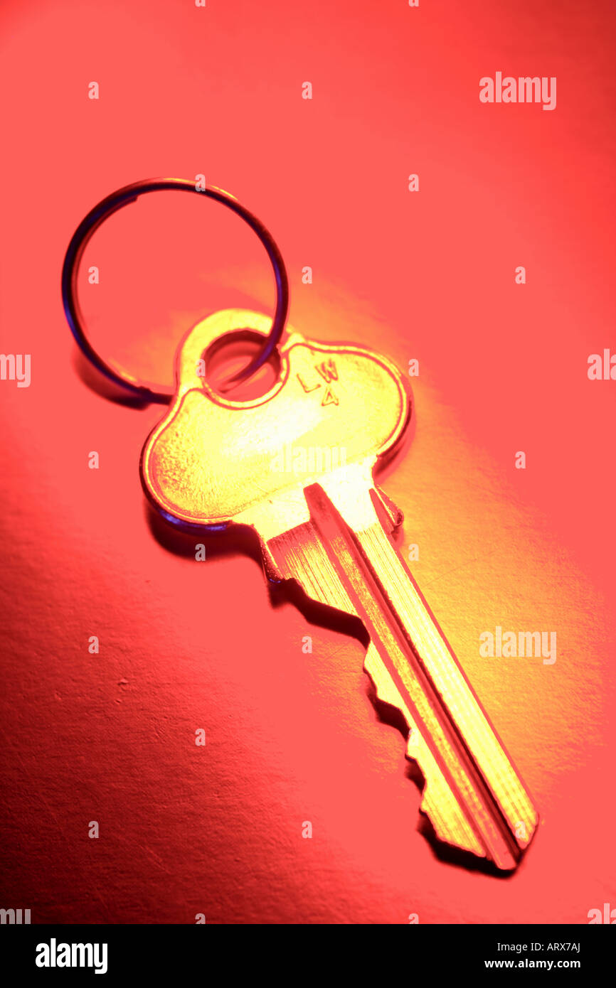 Key and keyring Stock Photo - Alamy