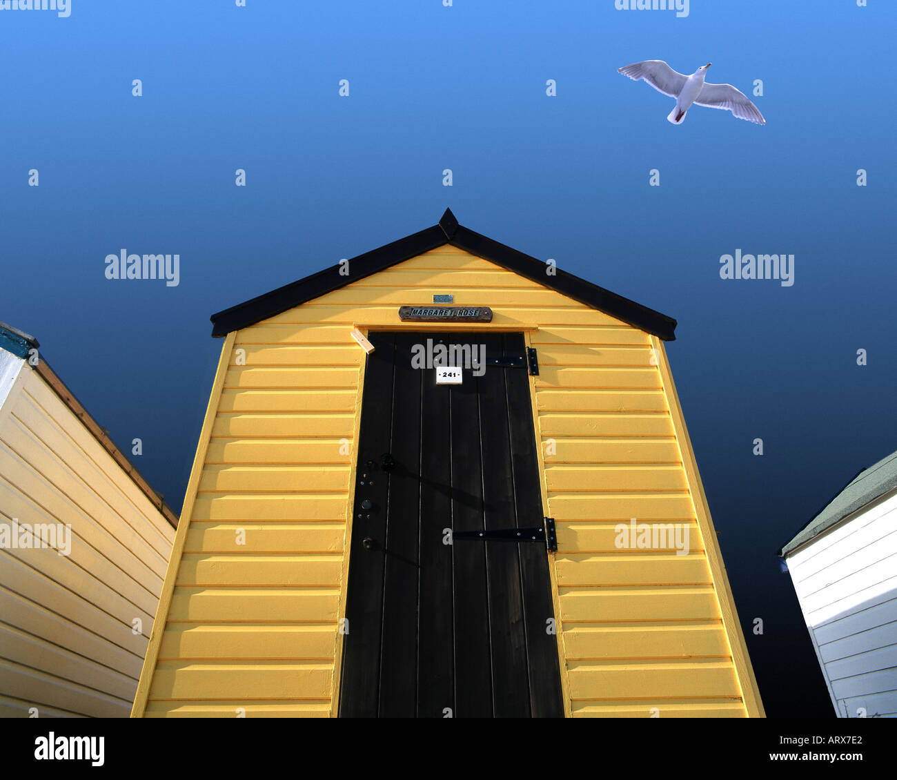 GB - SUFFOLK: Yellow beach hut and seagull at Southwold Stock Photo - Alamy