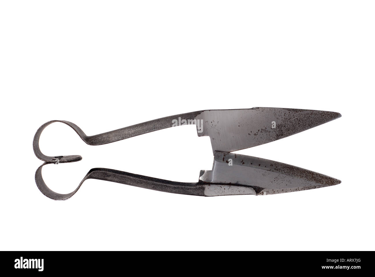 Sheep shears hi-res stock photography and images - Alamy