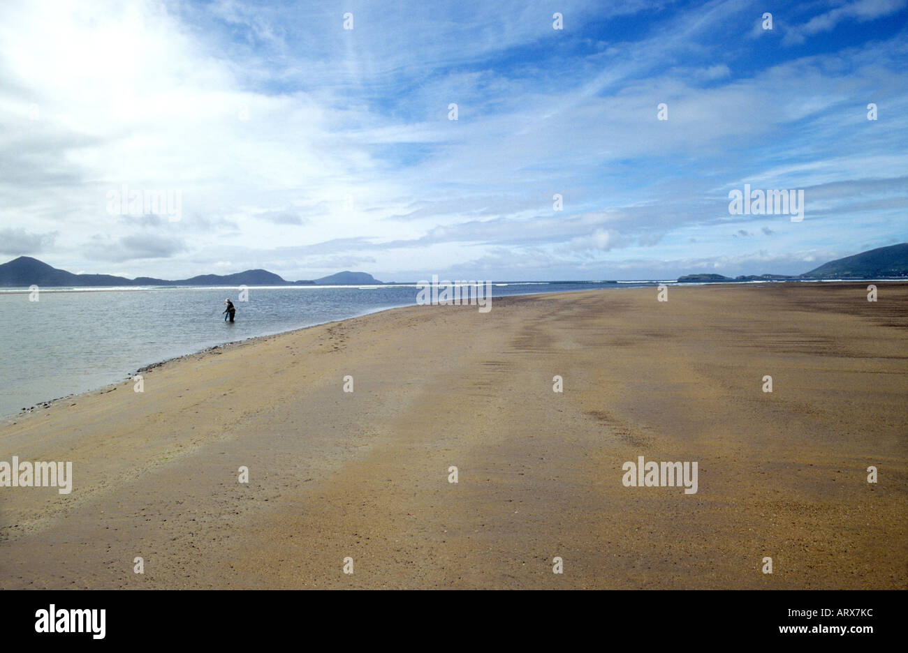 single person enjoys solitude on the spectacular Waterville Beach in ...