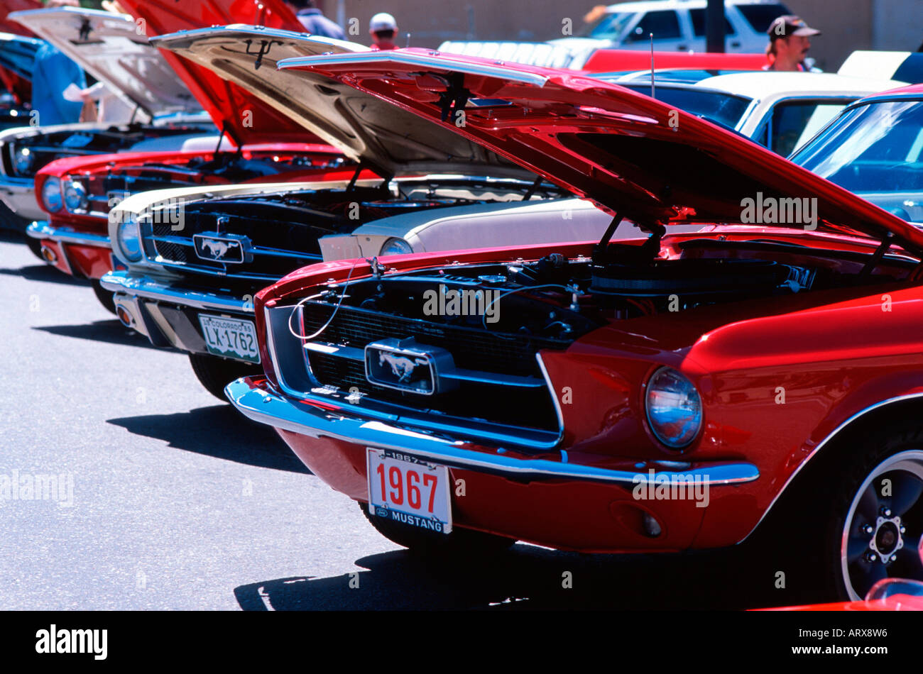Ford Mustangs at car show Steamboat Springs Colorado USA Stock Photo ...