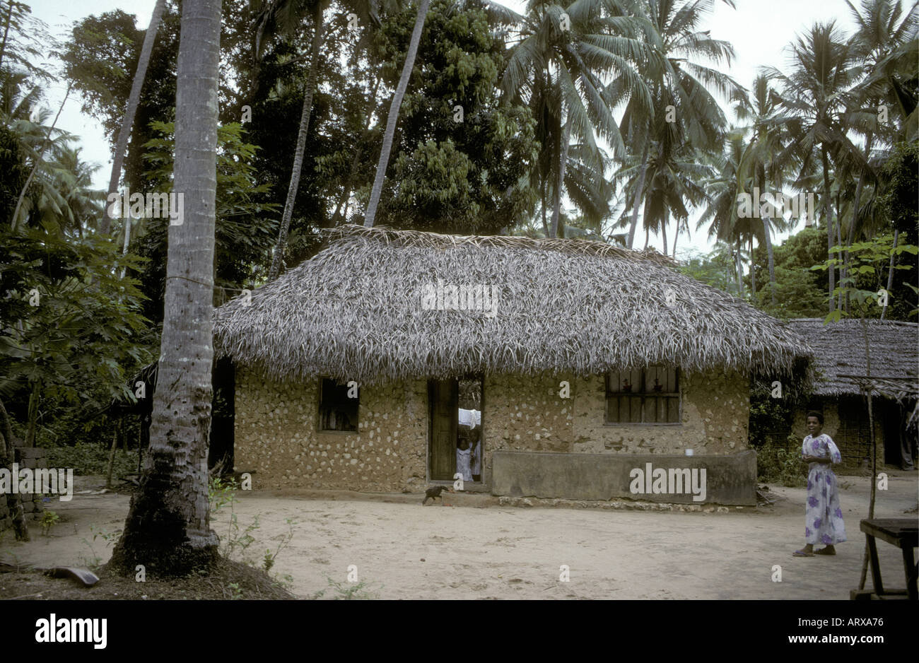 A typical native African hut or home Zanzibar Tanzania East Africa ...