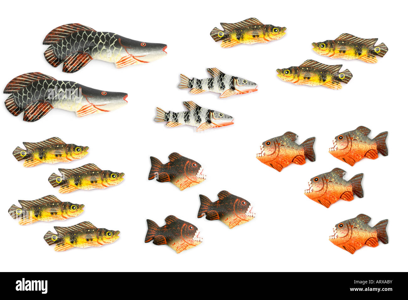 shoal of tropical Amazonian Fish Stock Photo - Alamy