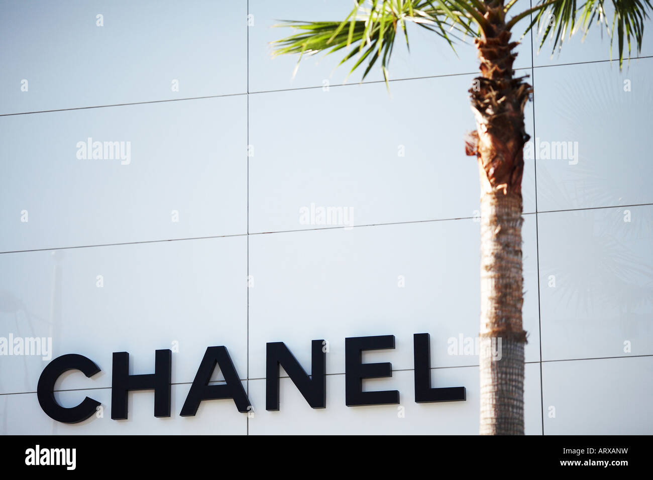 Chanel Sign with Palm Tree Beverly Hills, Los Angeles County ...