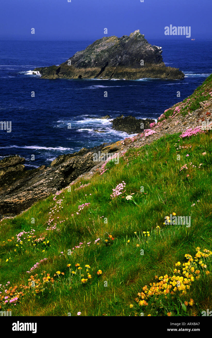 View of The Goose a small island off the coast of Pentire Point East ...