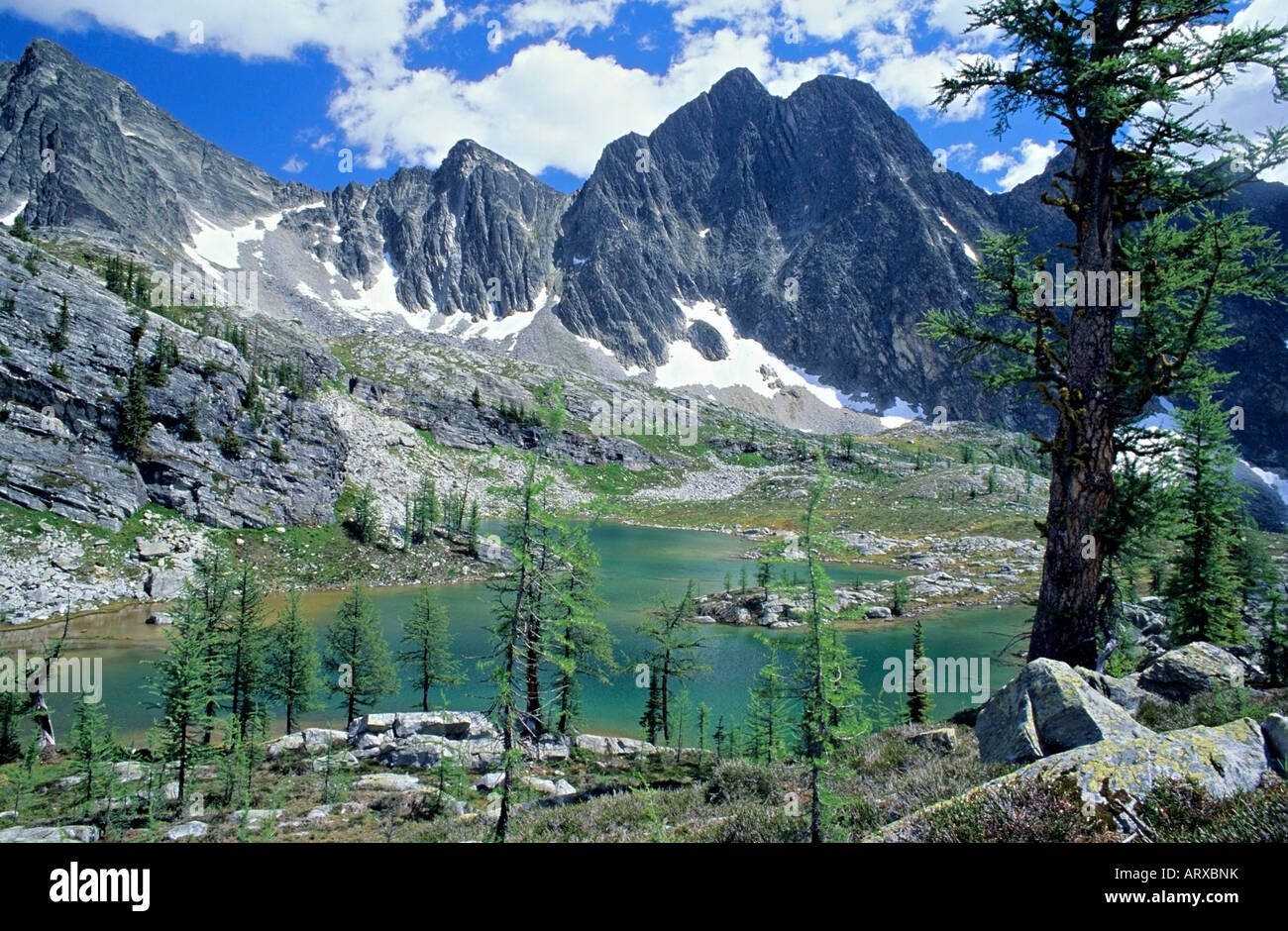 Tarn Monica Meadows Purcell Mountains British Columbia Canada Stock ...