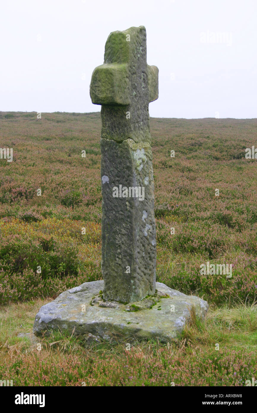 Ralphs hi-res stock photography and images - Alamy